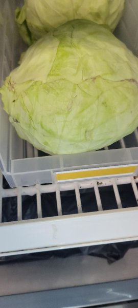 Local Green Cabbage - Strobel Farms LLC